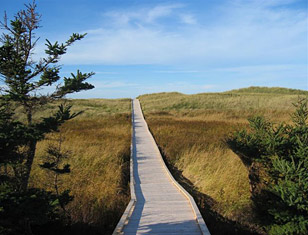 PEI Oceanfront Property for Sale